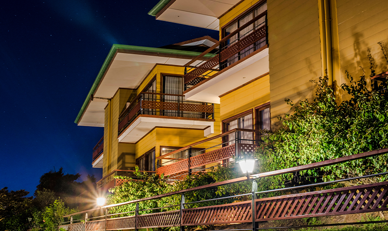 Experience Nature's Beauty in the Monteverde Cloud Forest - Ficus ...