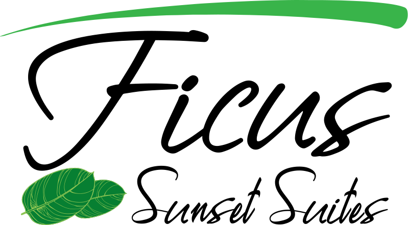 Experience Nature's Beauty in the Monteverde Cloud Forest - Ficus ...